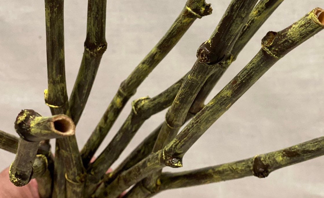 Hand Painted Dried Decorative Branches, Natural Branches, Painted ...
