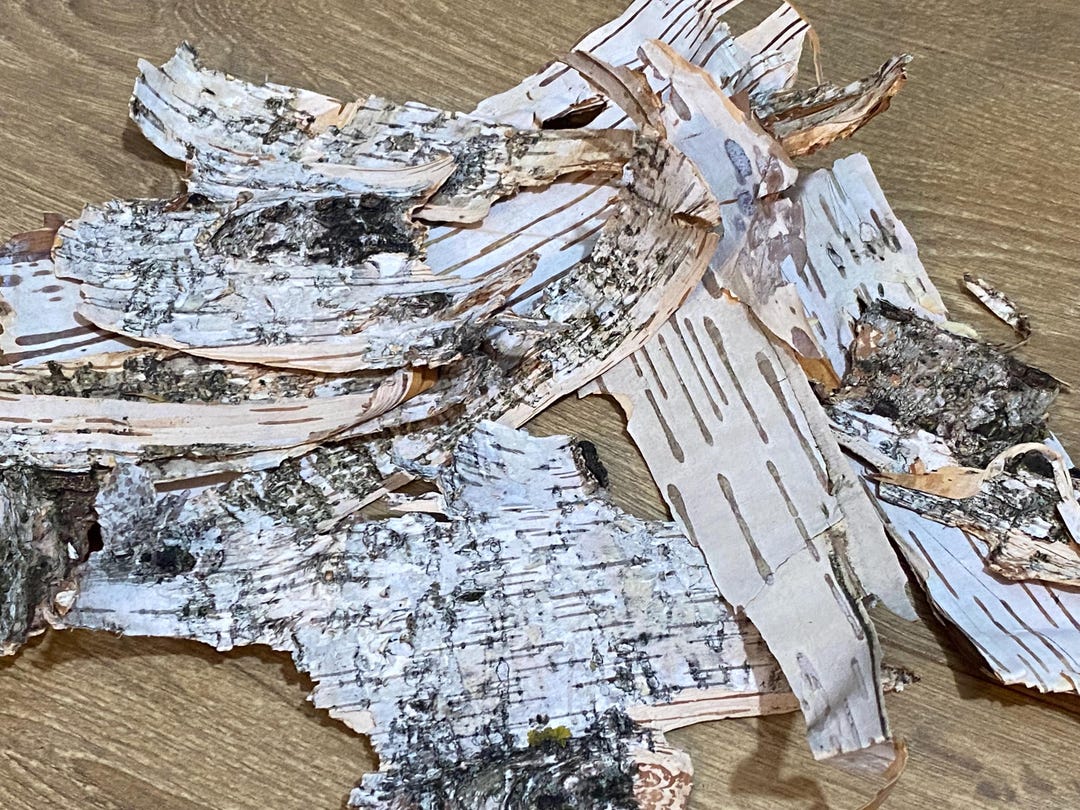 Natural Birch Bark Sheet, Natural Birch Bark, Bark From Forest, Natural ...