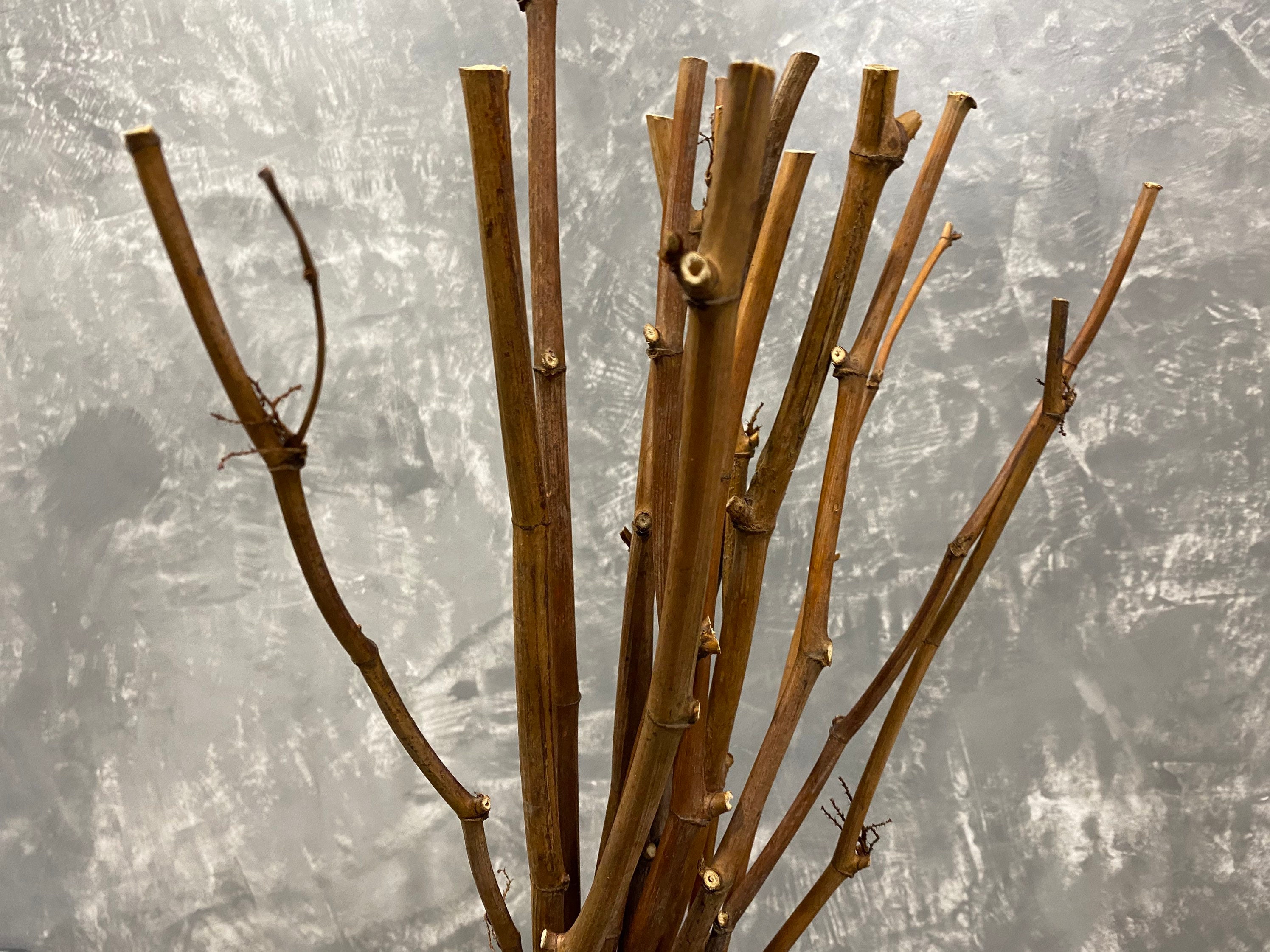 Dried Decorative Branches Natural Branches Brown Branches | Etsy