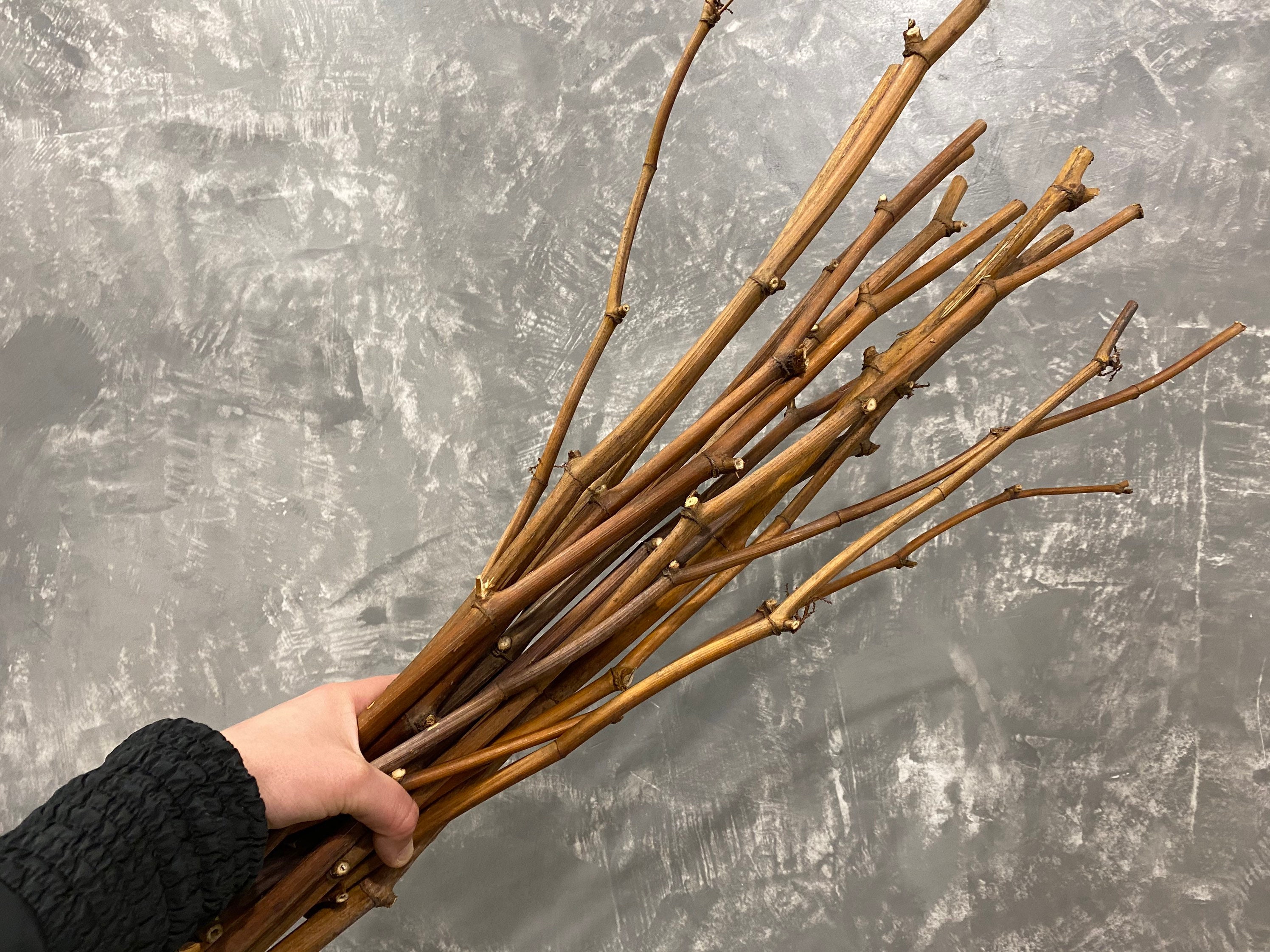 Dried Decorative Branches Natural Branches Brown Branches | Etsy