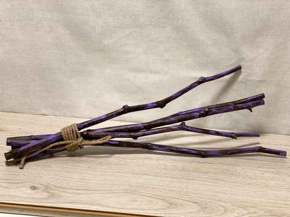 Hand Painted Dried Decorative Branches, Natural Branches, Painted ...