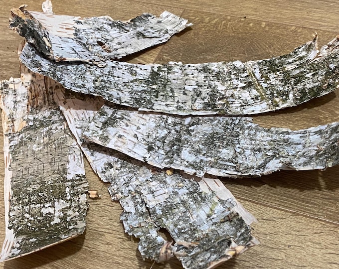 Natural Birch Bark Sheet, Natural Birch Bark, Bark From Forest, Natural ...