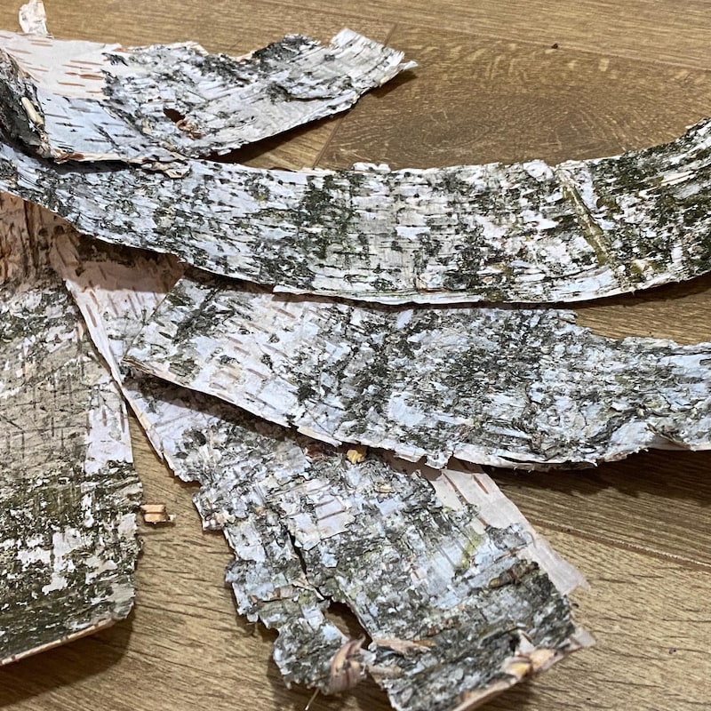 Birch Bark Sheets - Etsy