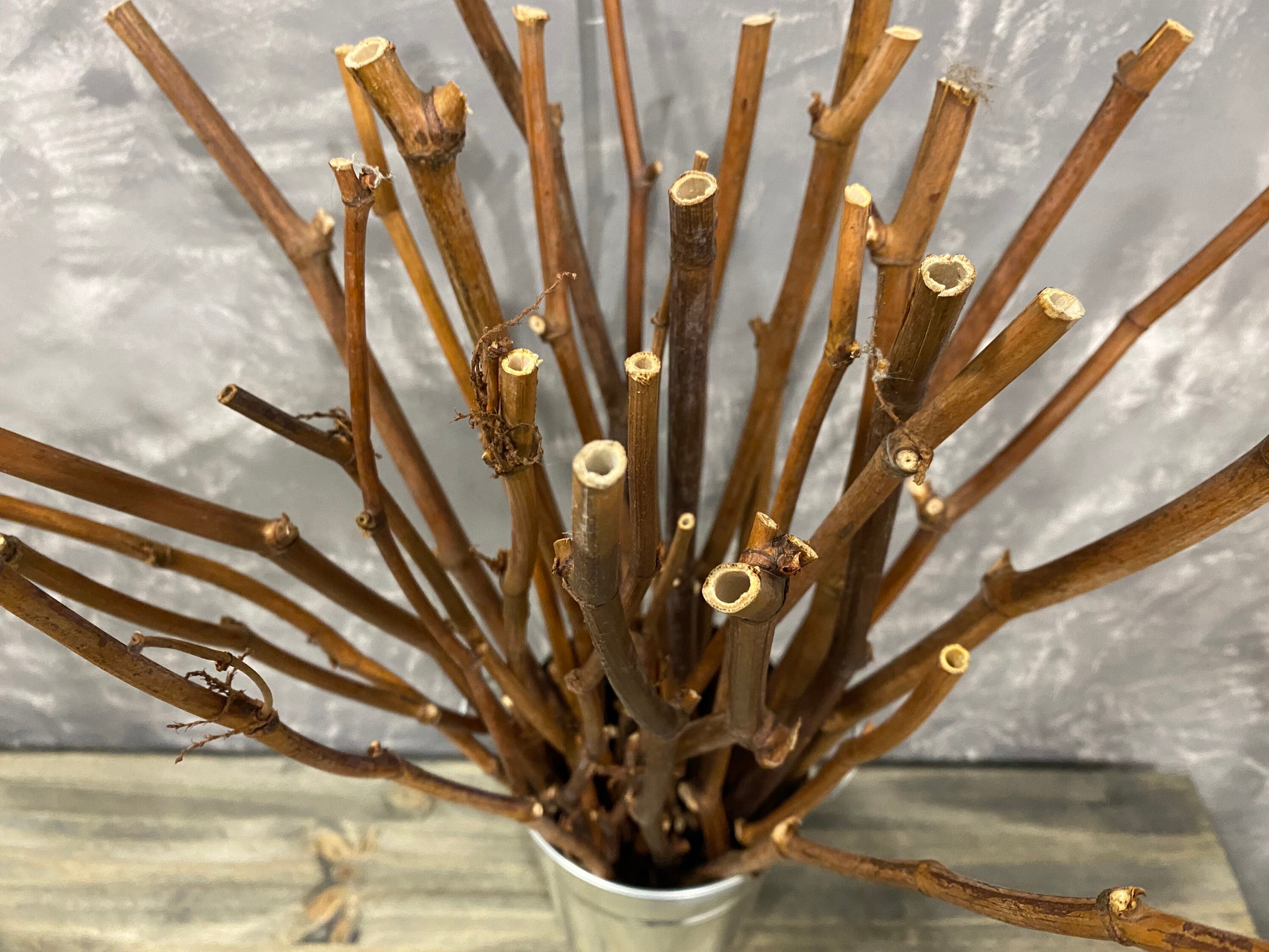 Dried Decorative Branches Natural Branches Brown Branches - Etsy