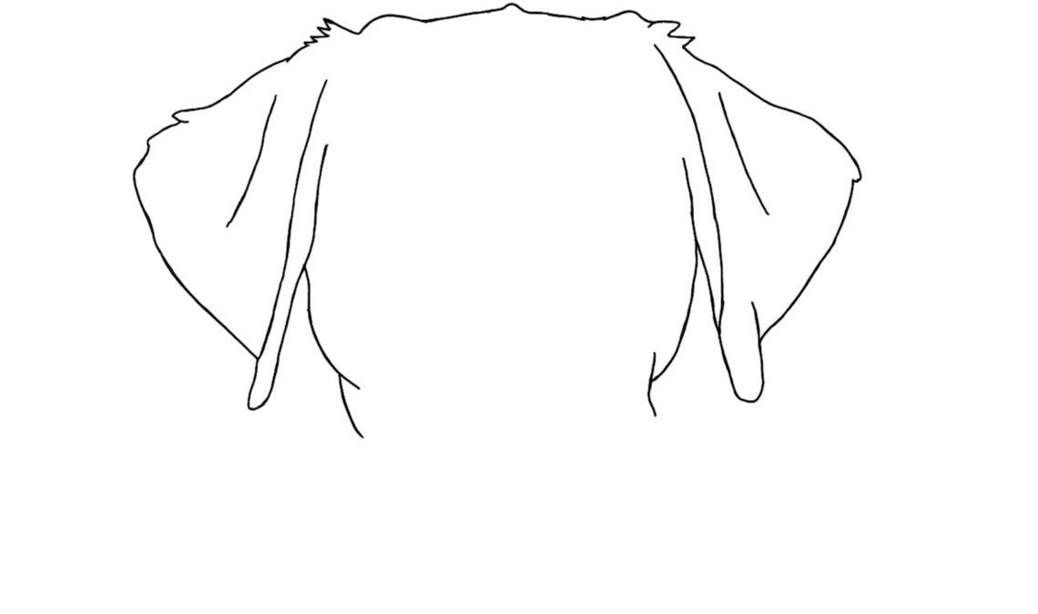 Labrador Outline - Etsy