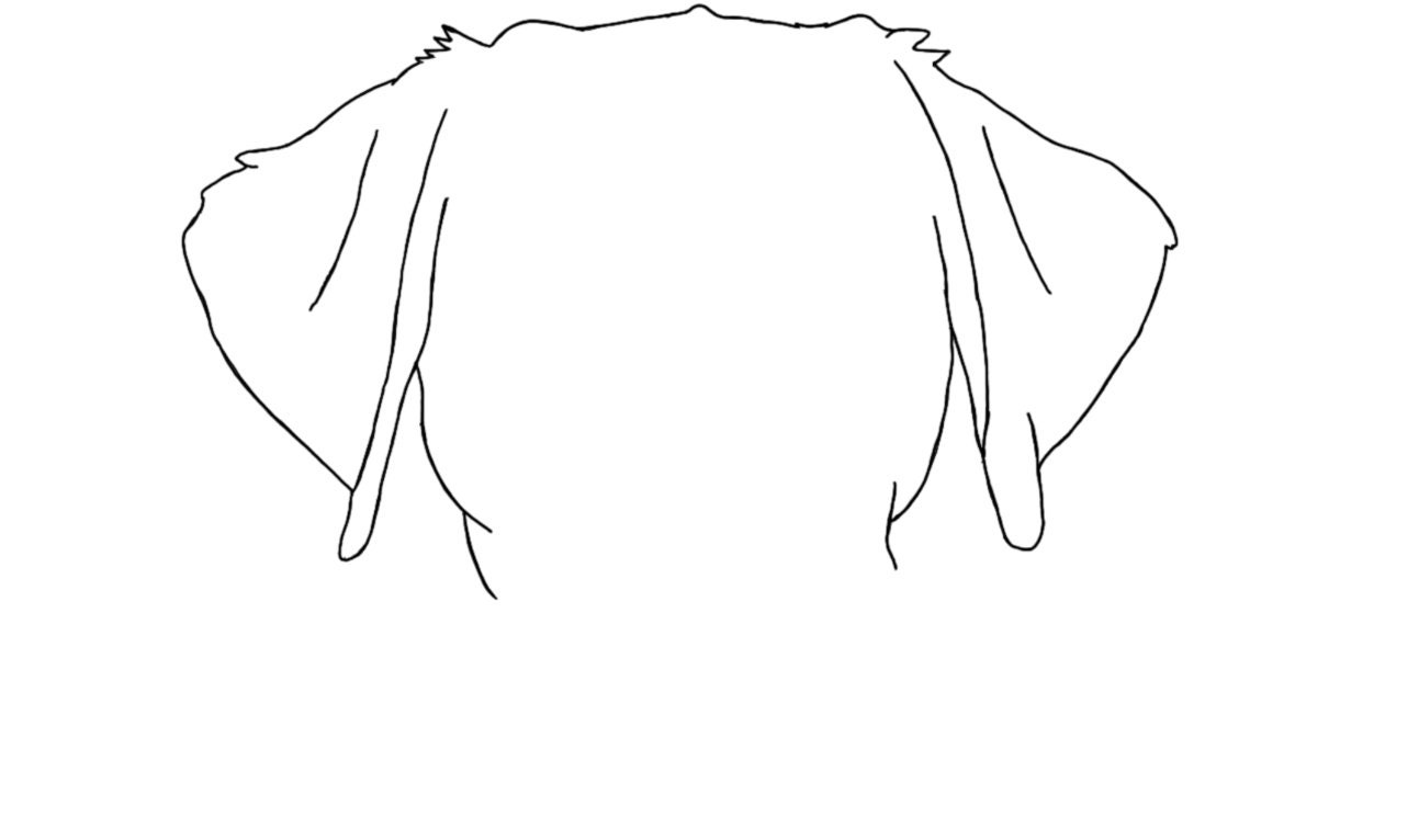 Labrador Outline - Etsy