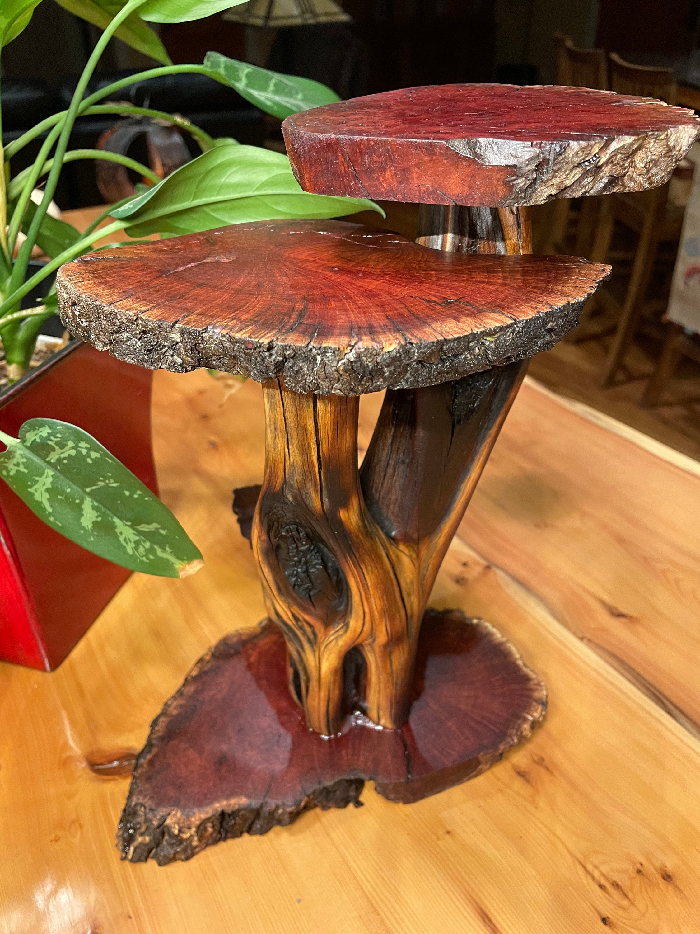 Organic Bonsai-like Display Tree Table Centerpiece Jewelry - Etsy