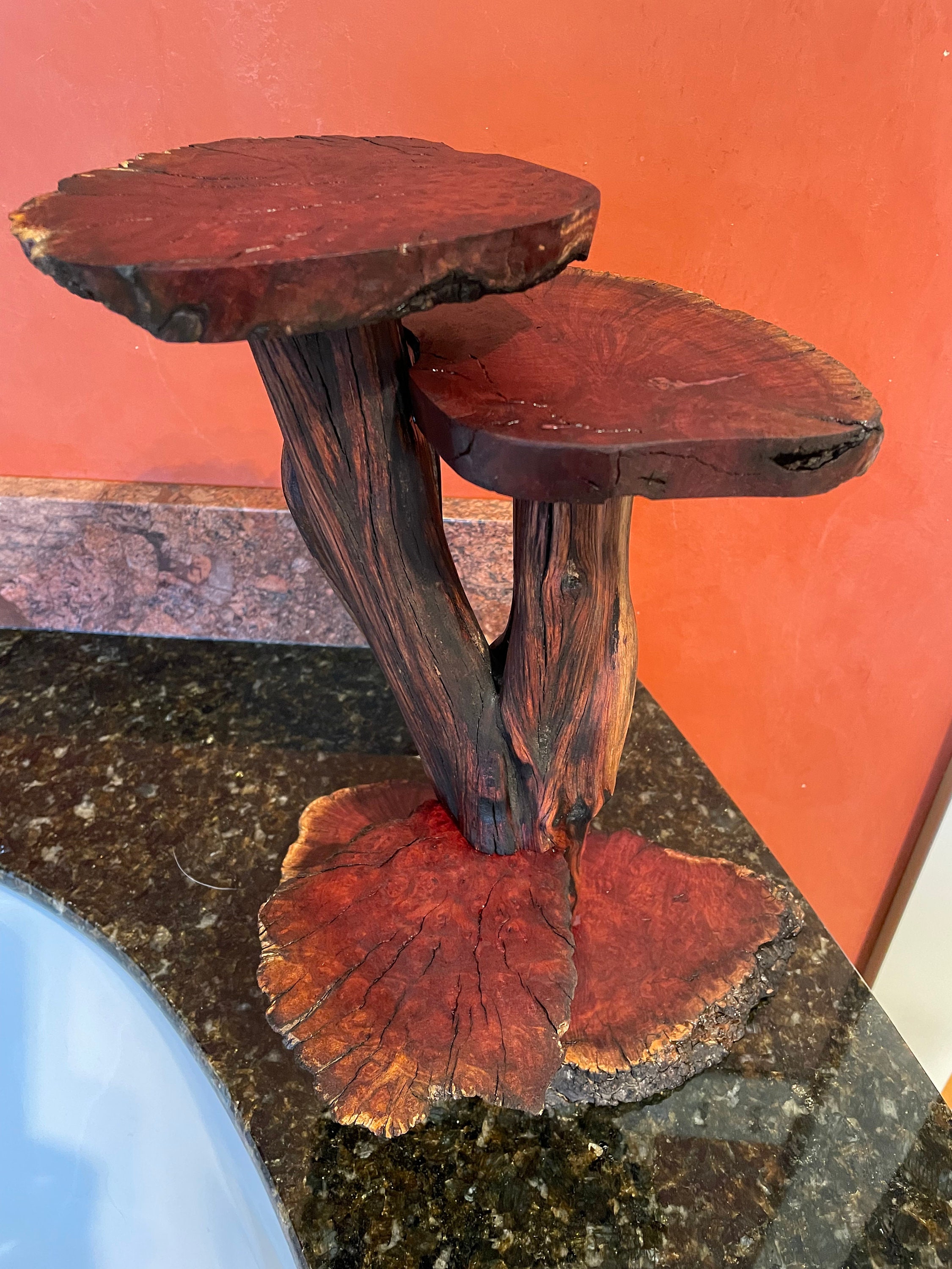 Organic Bonsai-like Display Tree Table Centerpiece Jewelry - Etsy