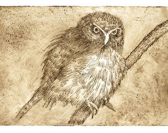 Northern Pygmy Owl | Etsy