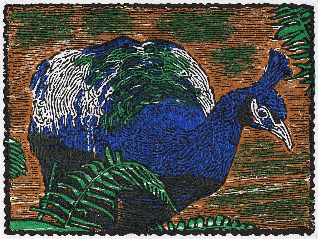Peacock (woodcut, Four Colors) - Etsy