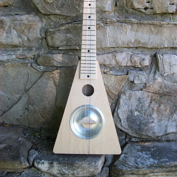 Resonator Guitar Kit - Etsy