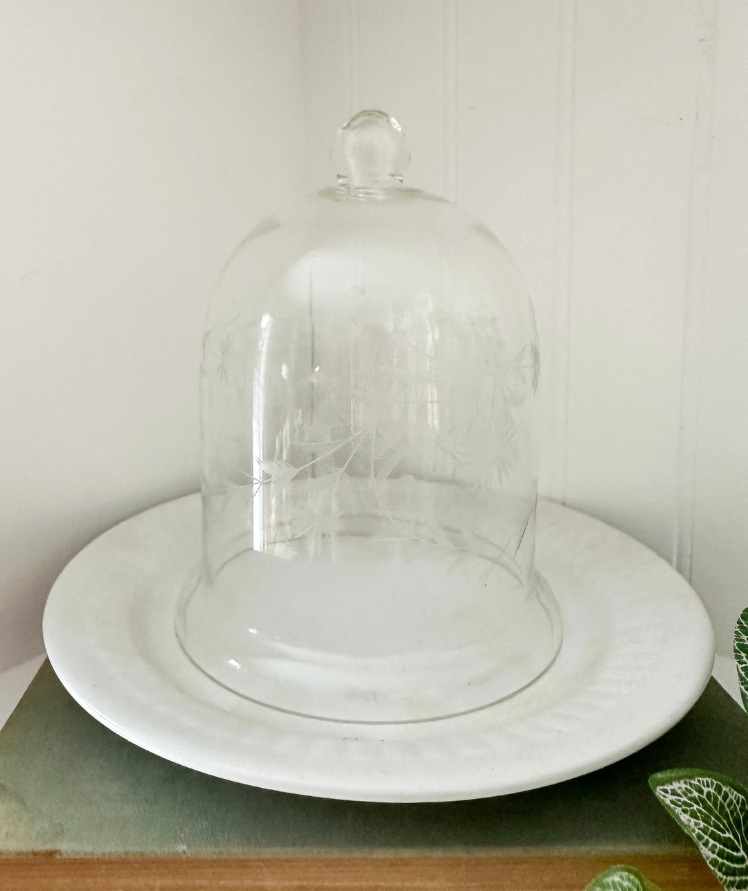 Etched Glass Cloche and Ironstone Plate, Vintage Kitchenware - Etsy