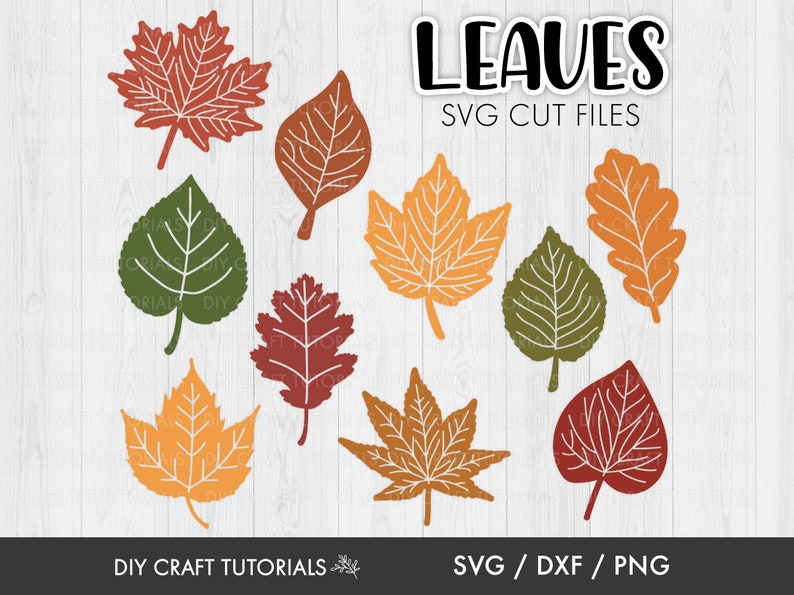 Fall Leaves SVG Cut Files: Autumn Leaf Clipart - Etsy