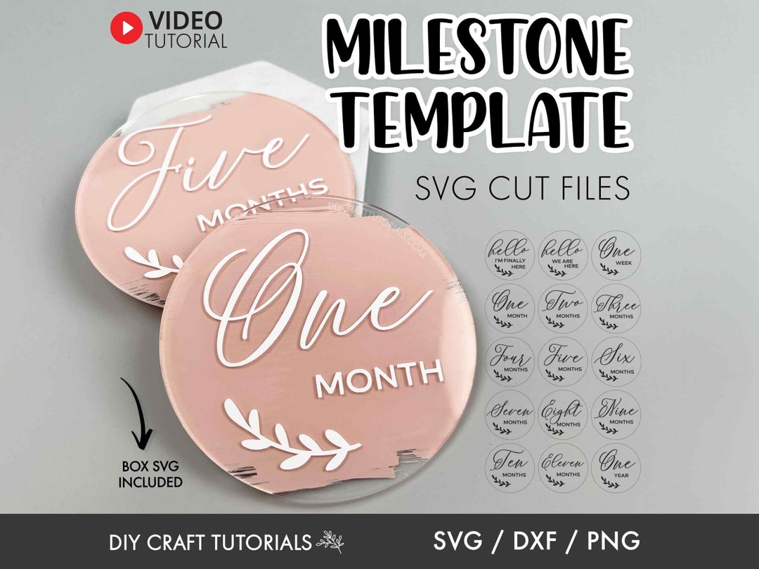 Floral Baby Milestone SVG & Gift Box Cut Files - Etsy