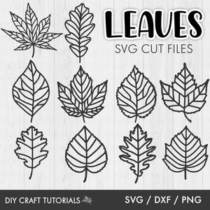 Leaf Svg, Leaves Svg, Fall Leaves Svg, Fall Leaf Svg, Leaf Clipart ...