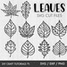 Leaf Svg, Leaves Svg, Fall Leaves Svg, Fall Leaf Svg, Leaf Clipart ...