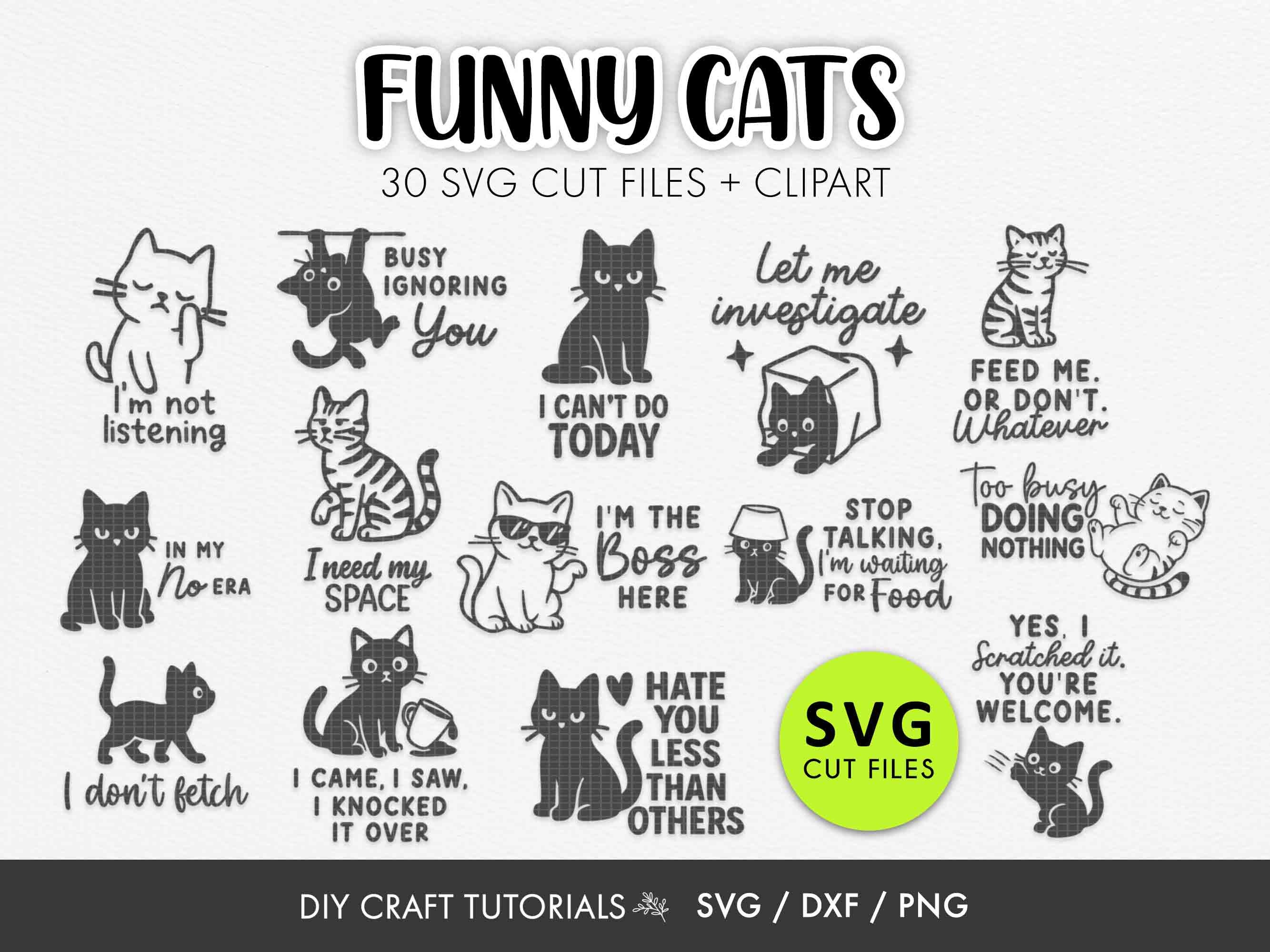 Funny Cat SVG Bundle | 30 Sarcastic Cat Quote SVG Files | Sassy Kitty ...