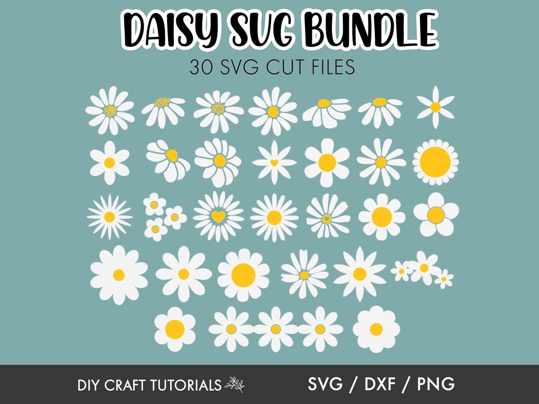 Daisy Svg, Daisy svg bundle, Flower svg bundle, Groovy Flower svg ...