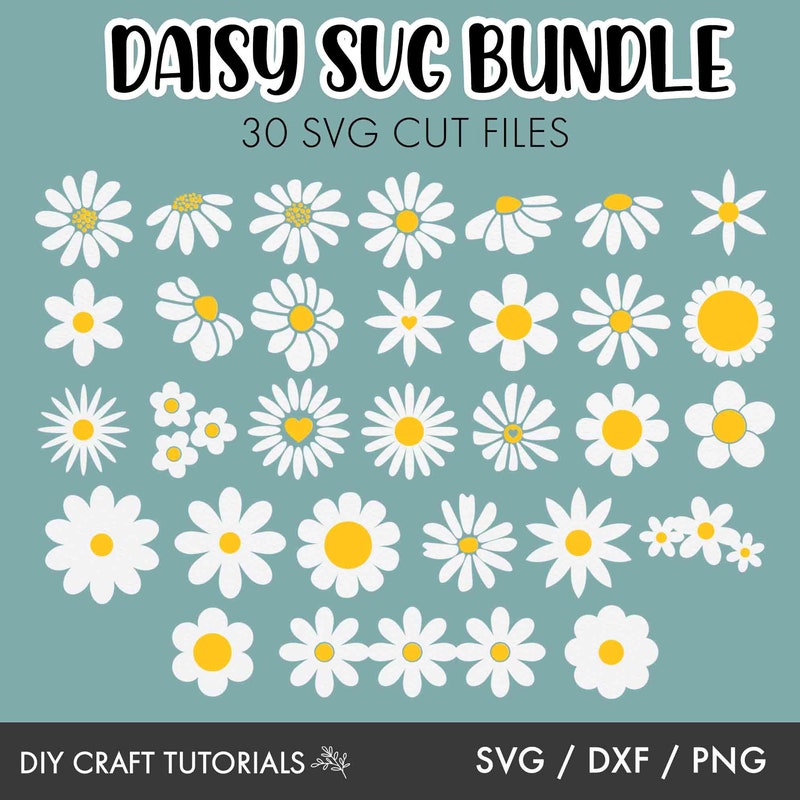 Daisy Svg - Etsy