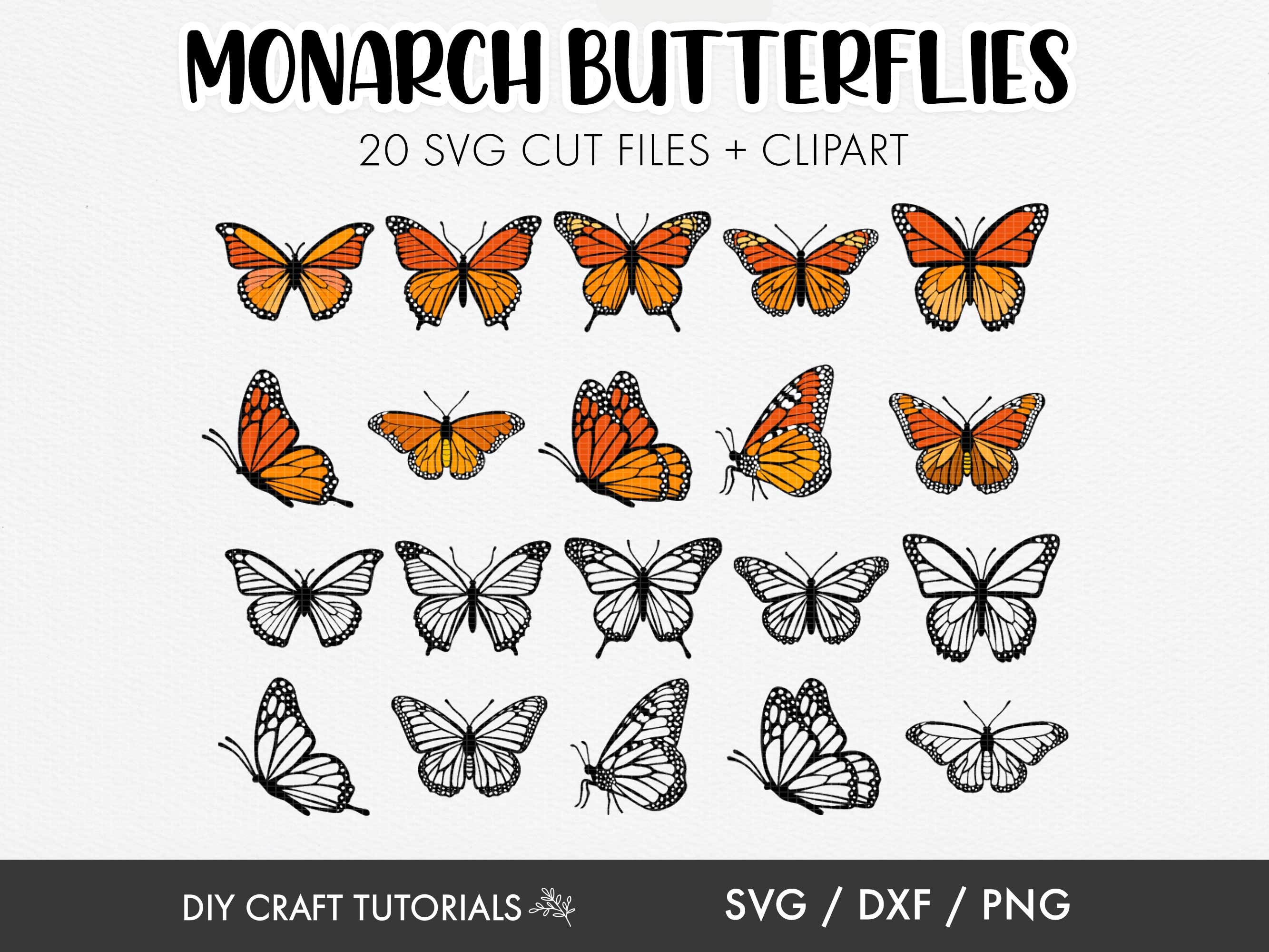 Monarch Butterfly Stencils Butterfly Svg Bundle 5 Monarch