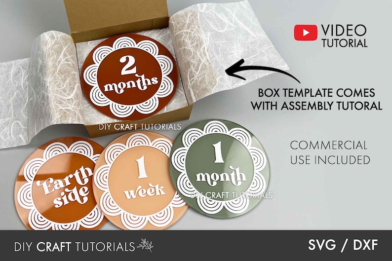 Baby Milestone Discs SVG Bundle: 20 Designs + Bonus Box - Etsy