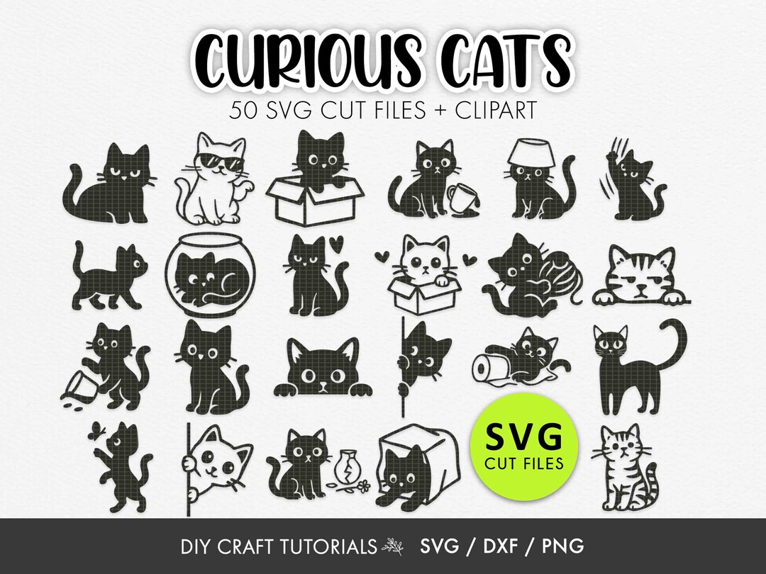 Curious Cat SVG Bundle | 50 Cat SVG | Cute Kitty Clipart | Black Cat ...