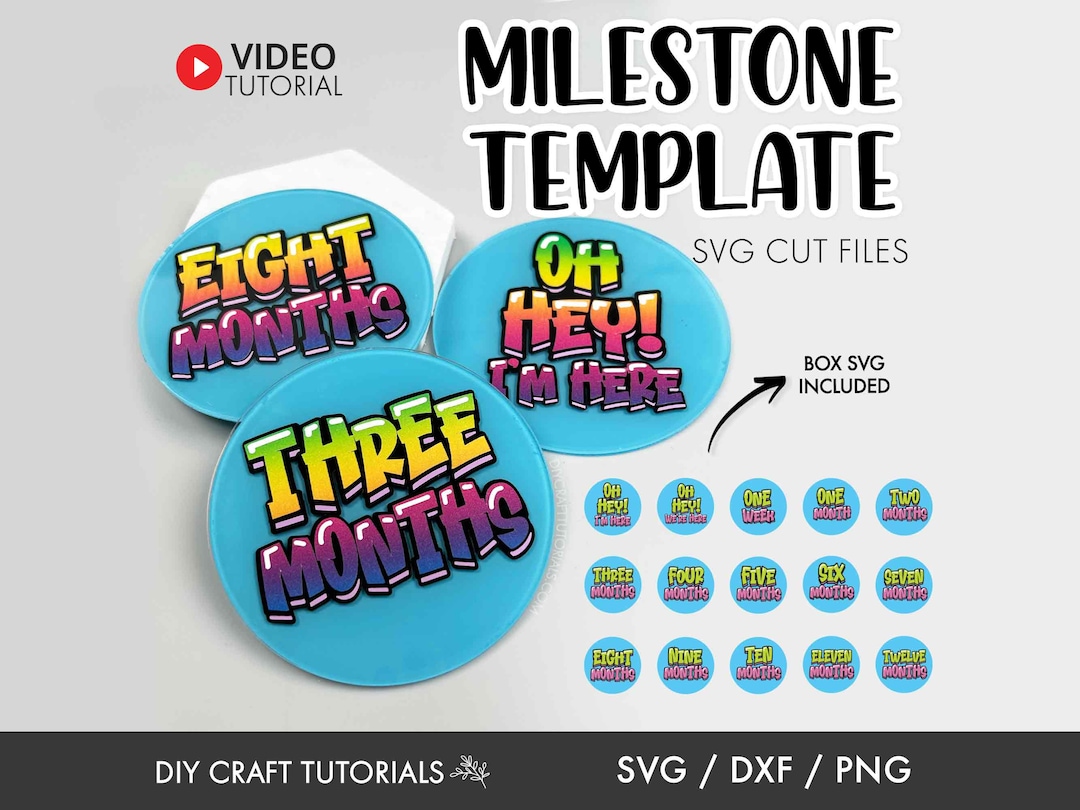 Monthly Milestone Svg, Milestone Discs Svg, Baby Milestone SVG, Baby ...