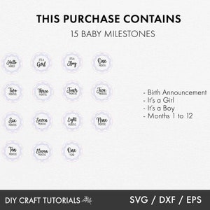 Baby Milestone SVG, Baby Milestone Discs Svg, Boho Baby Milestone Discs ...