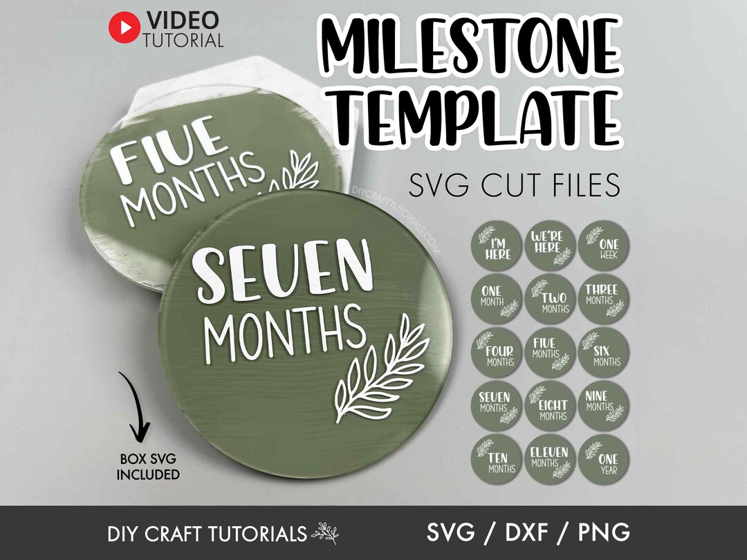 Milestone Discs Svg, Baby Milestone SVG, Baby Milestone Rounds Svg ...