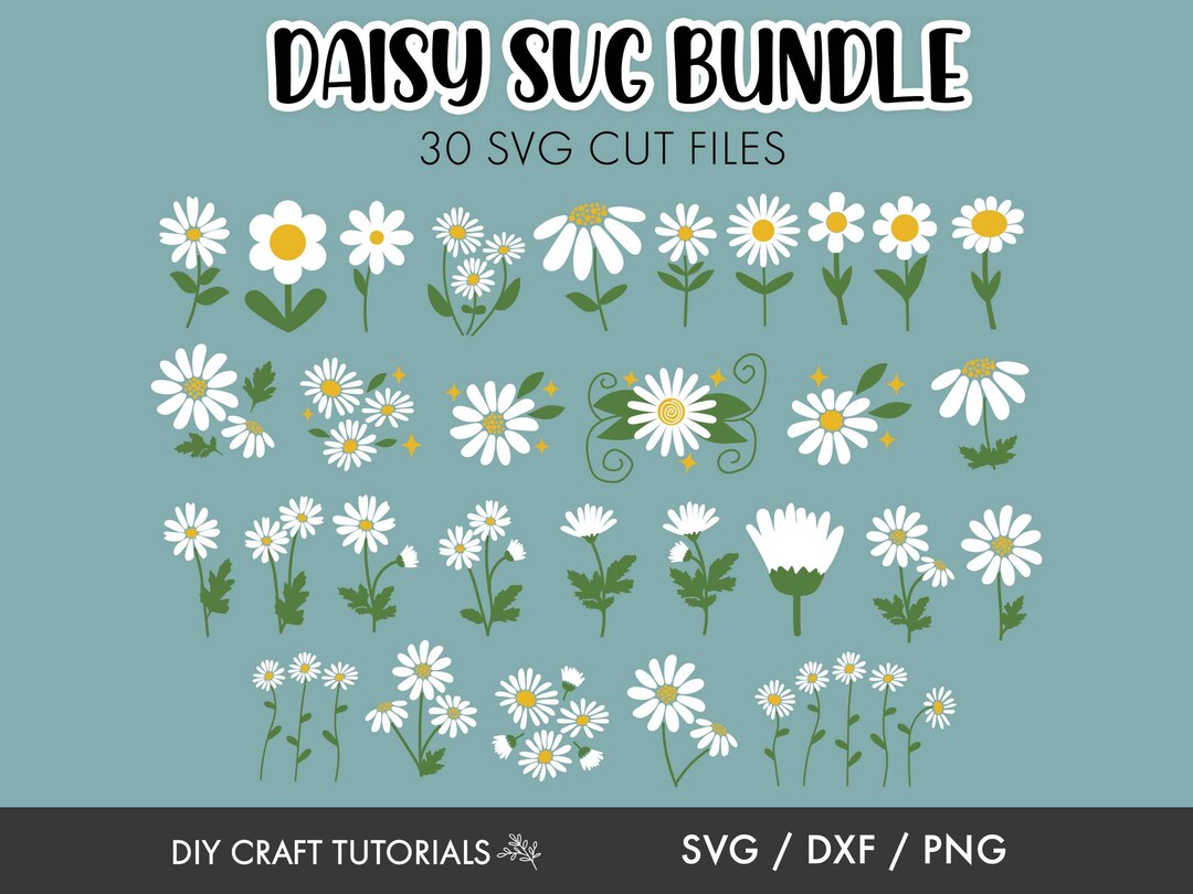 Daisy Svg, Daisy Svg Bundle, Daisies Svg, Flower Svg Bundle, Groovy ...