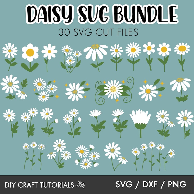 Daisy Svg - Etsy