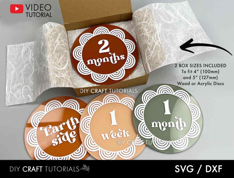 Milestone Box Template: SVG, DXF Files for Baby Discs - Etsy
