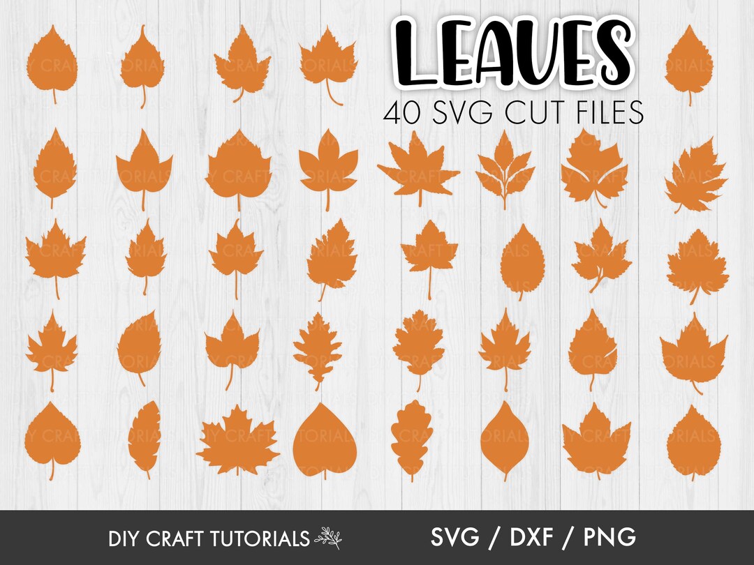Autumn Leaves Svg, Leaf Svg, Fall Leaves Svg, Fall Leaf Svg, Leaves Svg ...