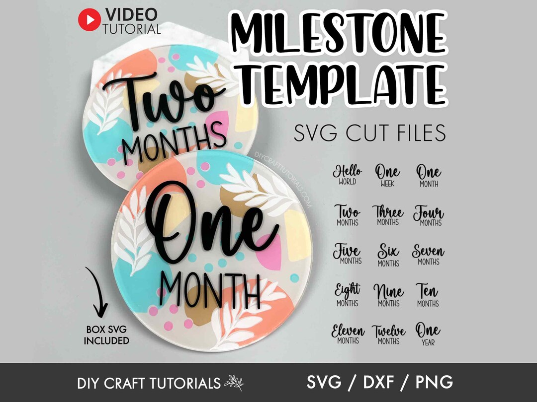 Baby Milestone SVG, Milestone Discs Svg, Monthly Milestone Svg, Acrylic ...