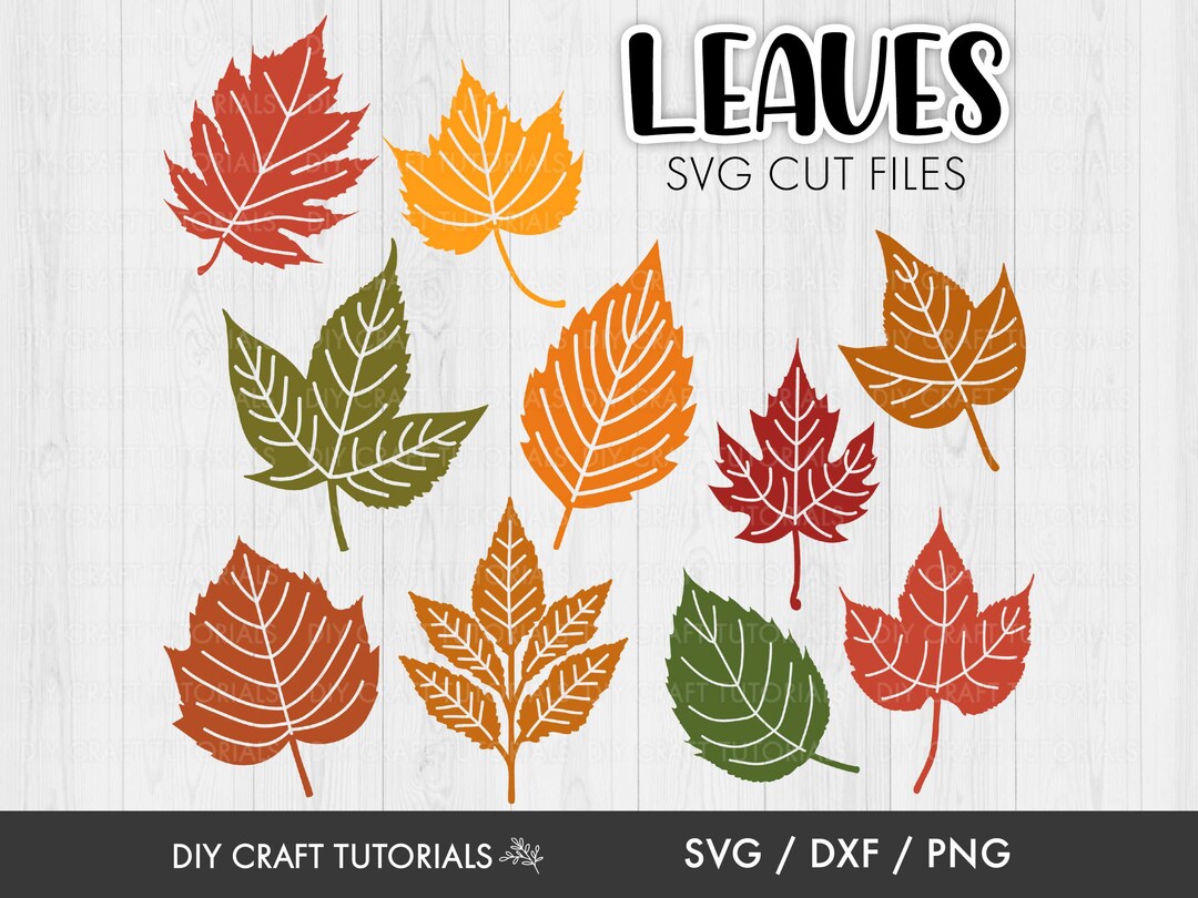Autumn Leaves Svg, Fall Leaves Svg, Leaf Svg, Leaf Clipart, Fall Svg ...