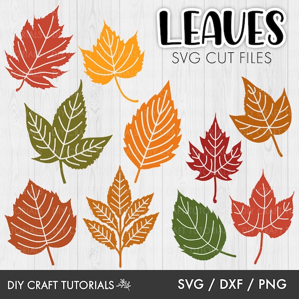 Fall Paper Flowers Svg - Etsy