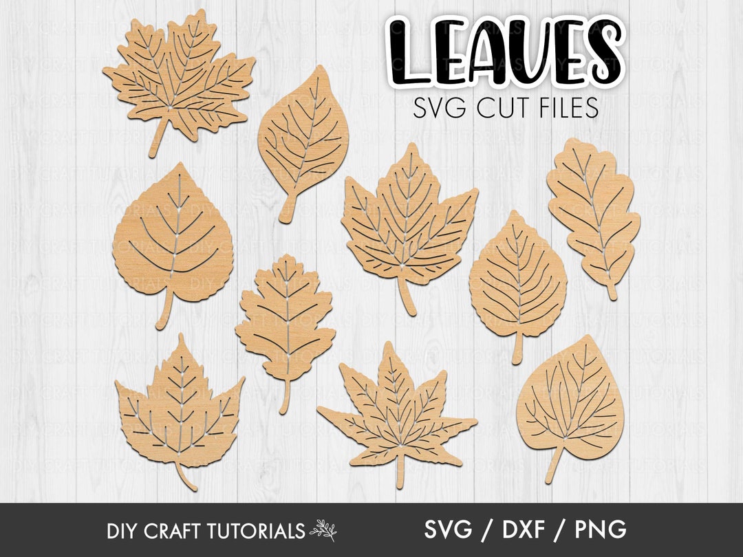 Leaf Svg, Fall Leaves Svg, Fall Leaf Svg, Leaf Clipart, Fall Svg, Laser ...