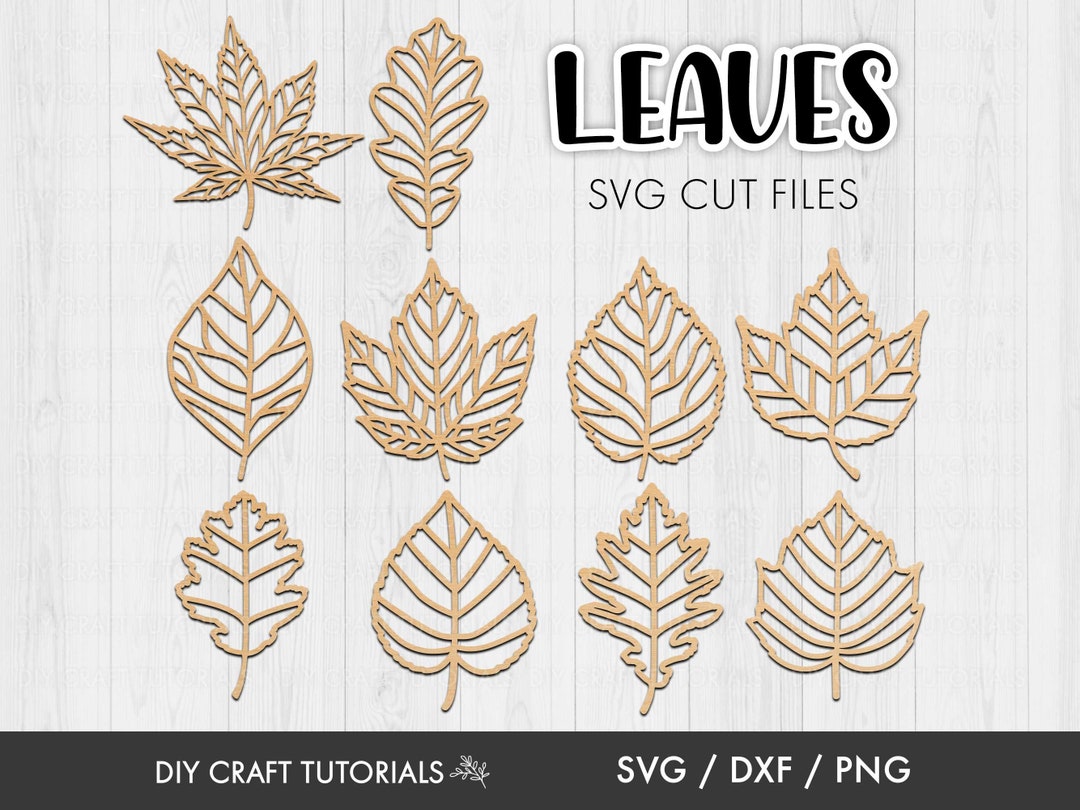 Leaf Svg, Leaves Svg, Fall Leaves Svg, Fall Leaf Svg, Leaf Clipart ...