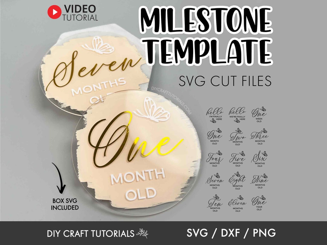 Baby Milestone SVG, Milestone Discs Svg, Monthly Milestone Svg, Acrylic ...