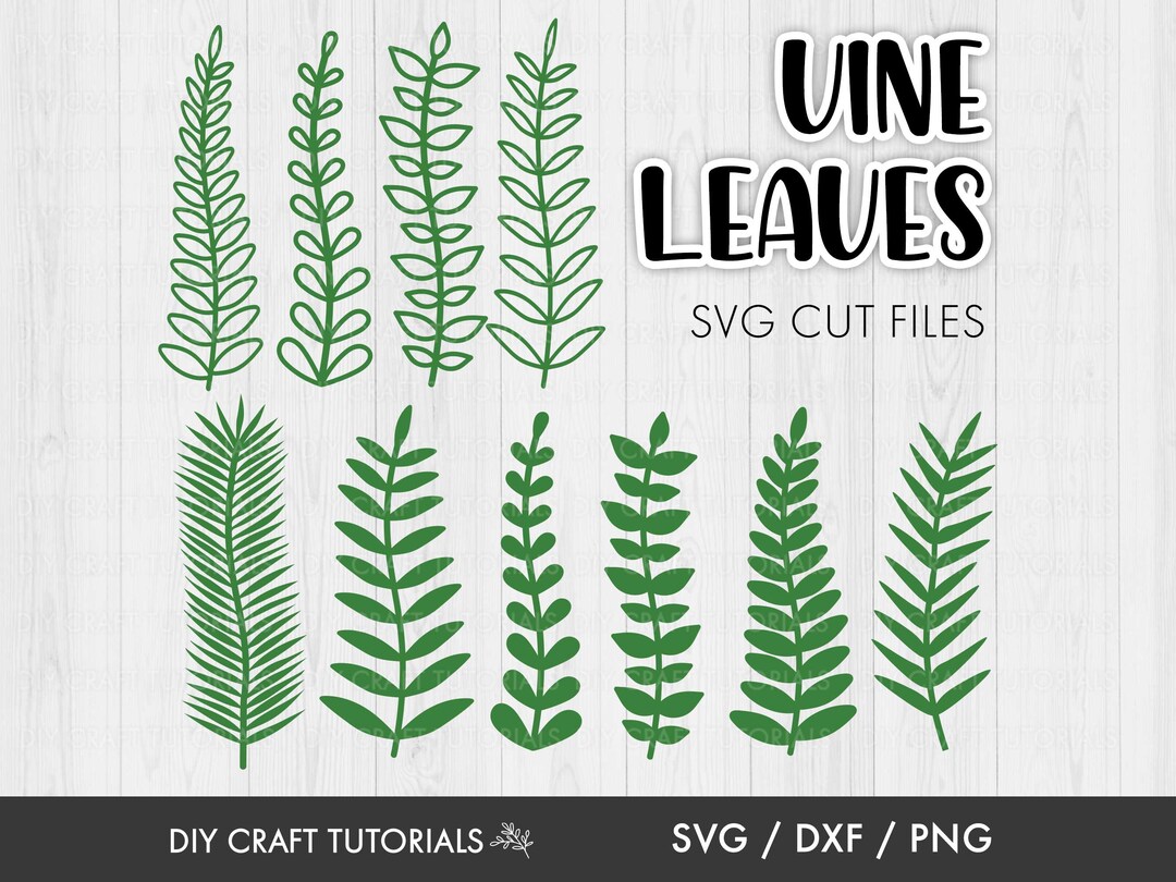 Vine Leaf SVG, Tropical Leaf Svg, Jungle Svg, Leaf Svg, Leaves Svg ...