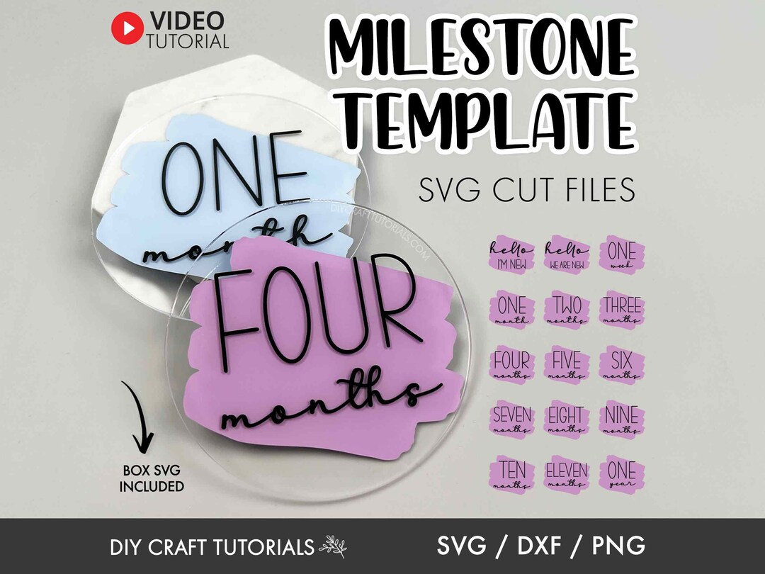 Milestone Discs Svg, Baby Milestone SVG, Monthly Milestone Svg, Baby ...