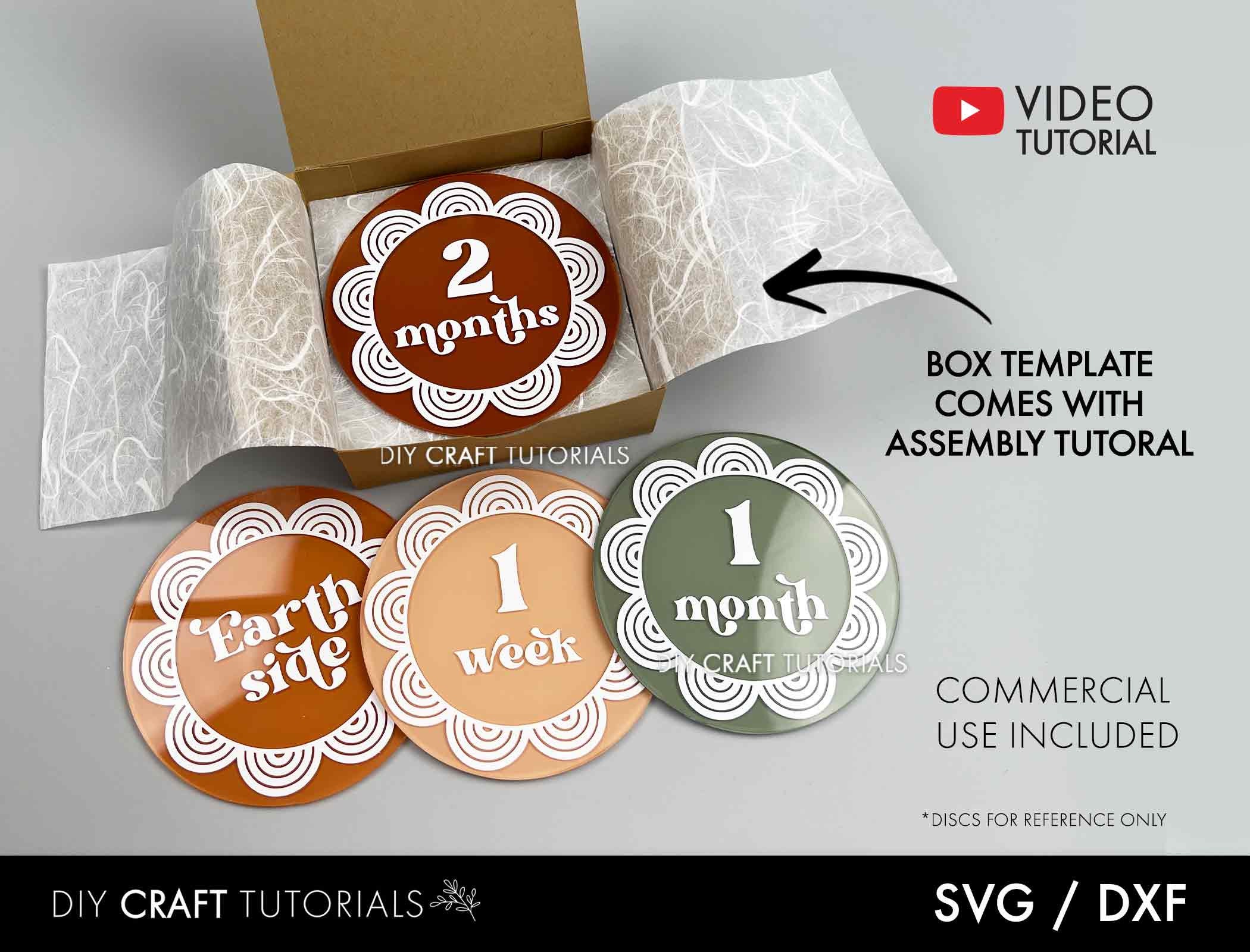 Monthly Milestone Svg Milestone Discs Svg Baby Milestone - Etsy Australia