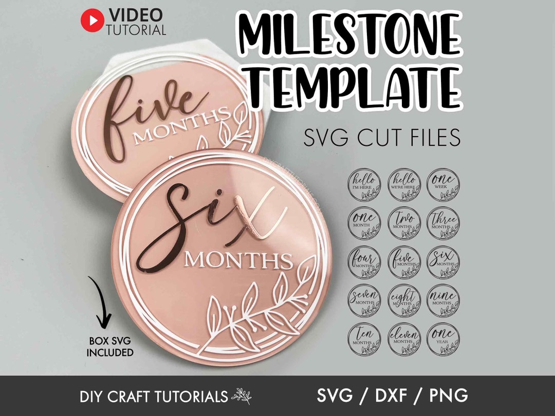 Floral Baby Milestone Discs SVG Bundle & Gift Box Cut Files - Etsy