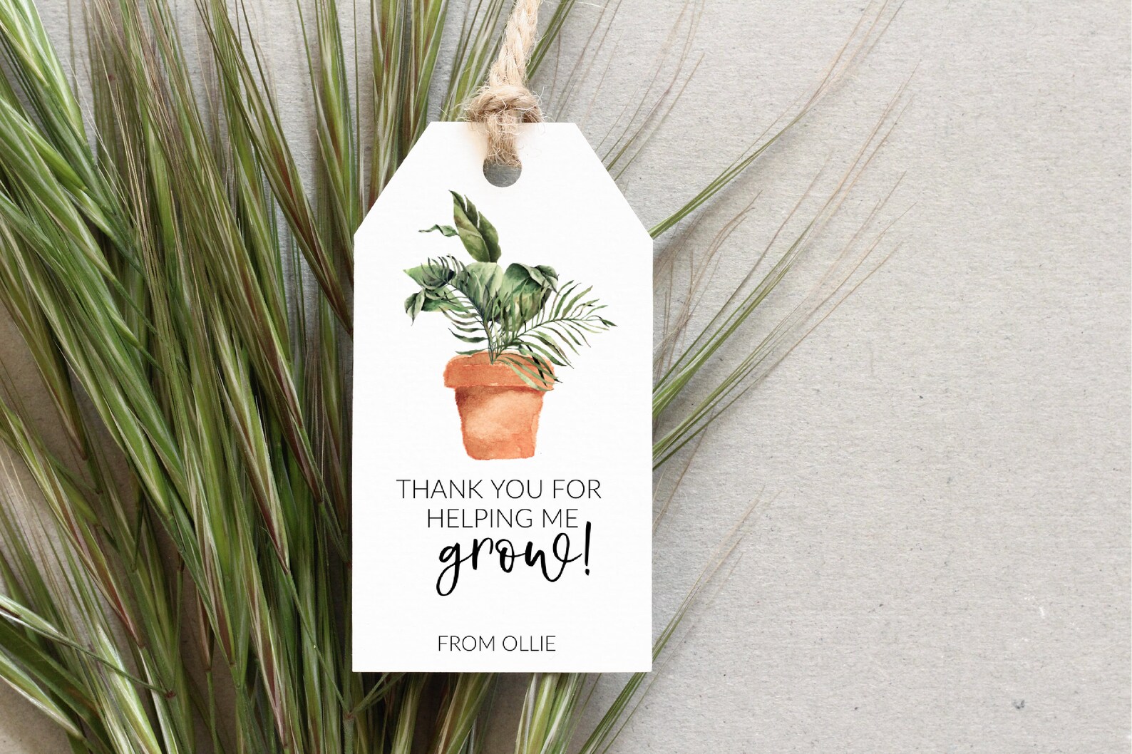 TEACHER GIFT TAG | Teacher Appreciation Gift Tag | Teacher Thank You ...