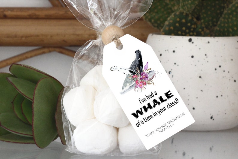 TEACHER GIFT TAG Teacher Appreciation Gift Tag Teacher Thank You Tag ...