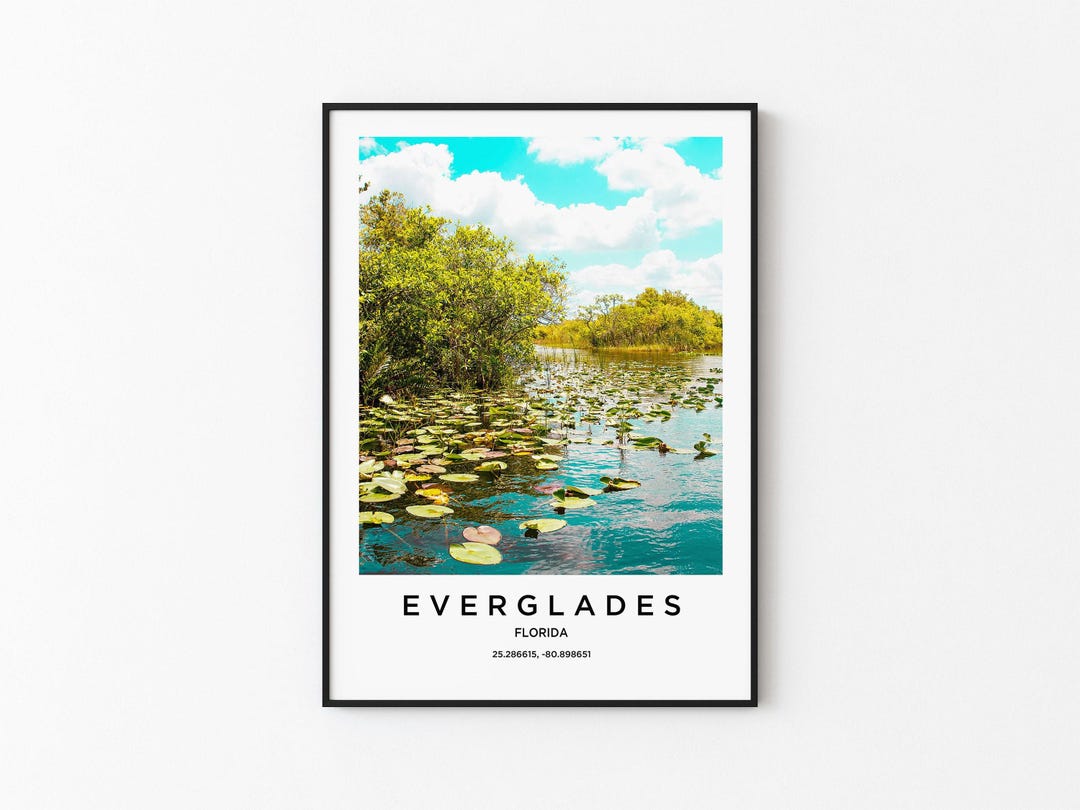 Everglades Art, Everglades Print, Everglades Poster, Everglades Art ...