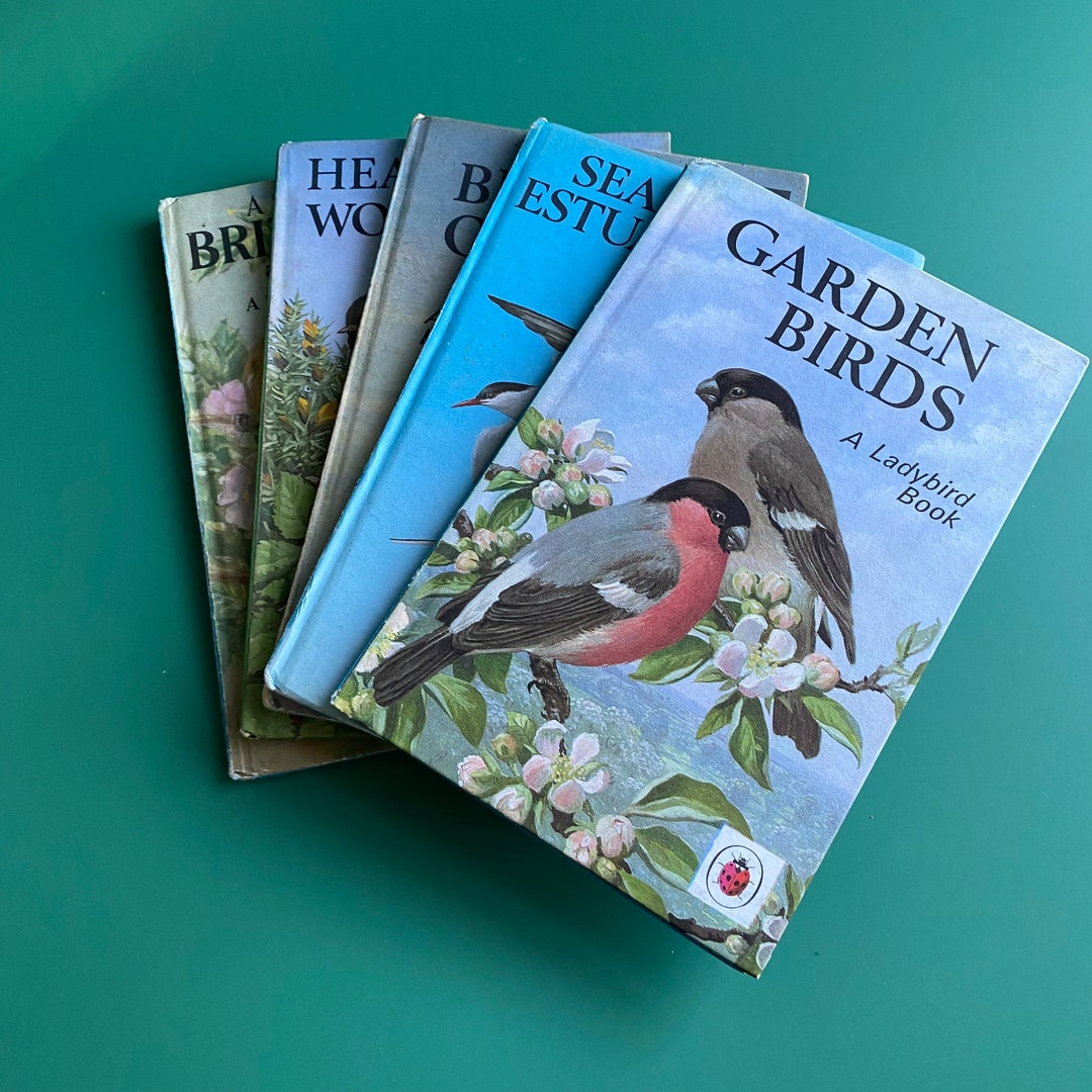 Ladybird Nature Book Set of 5 British Bird Books 1950s 1960s Gift ...