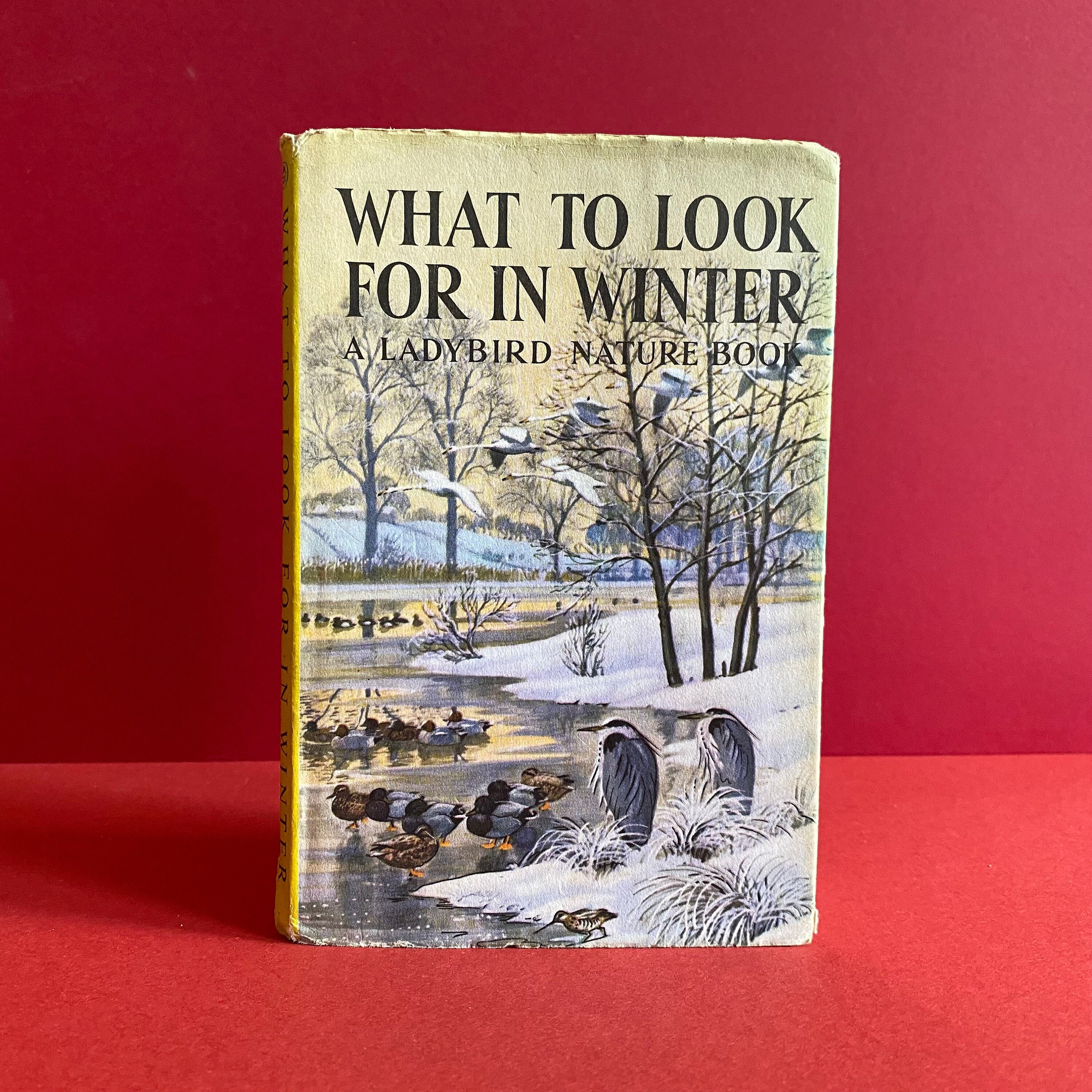 Winter Ladybird Books