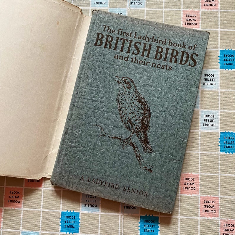 Rare Blue Cover Ladybird First Edition 1953 Books of British - Etsy UK