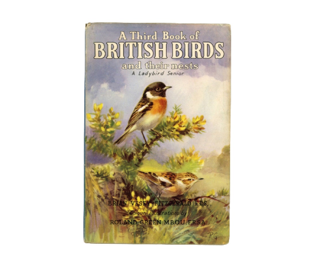 Ladybird Nature Book A Third Book of British Birds and Their Nests ...